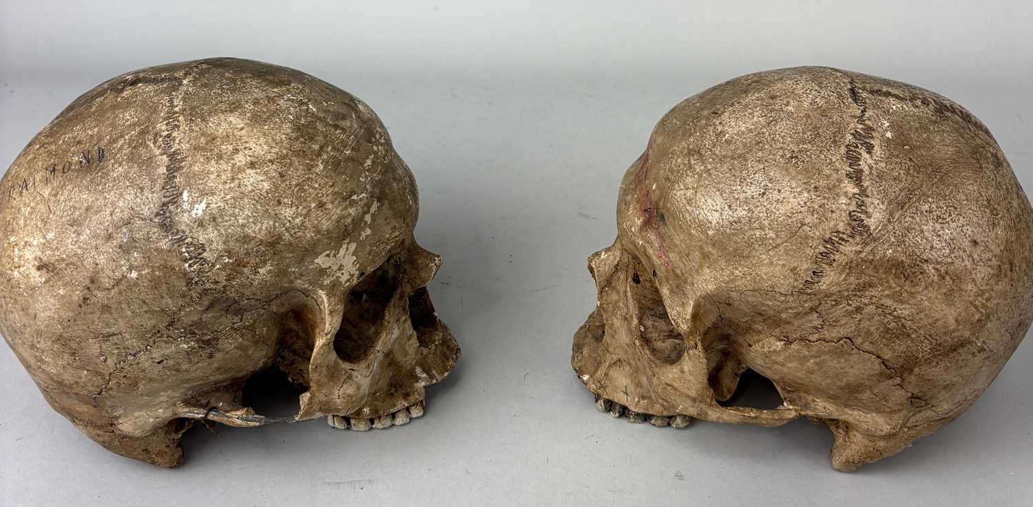 Lot 293 - A PAIR OF 19TH CENTURY FRENCH PLASTER HUMAN