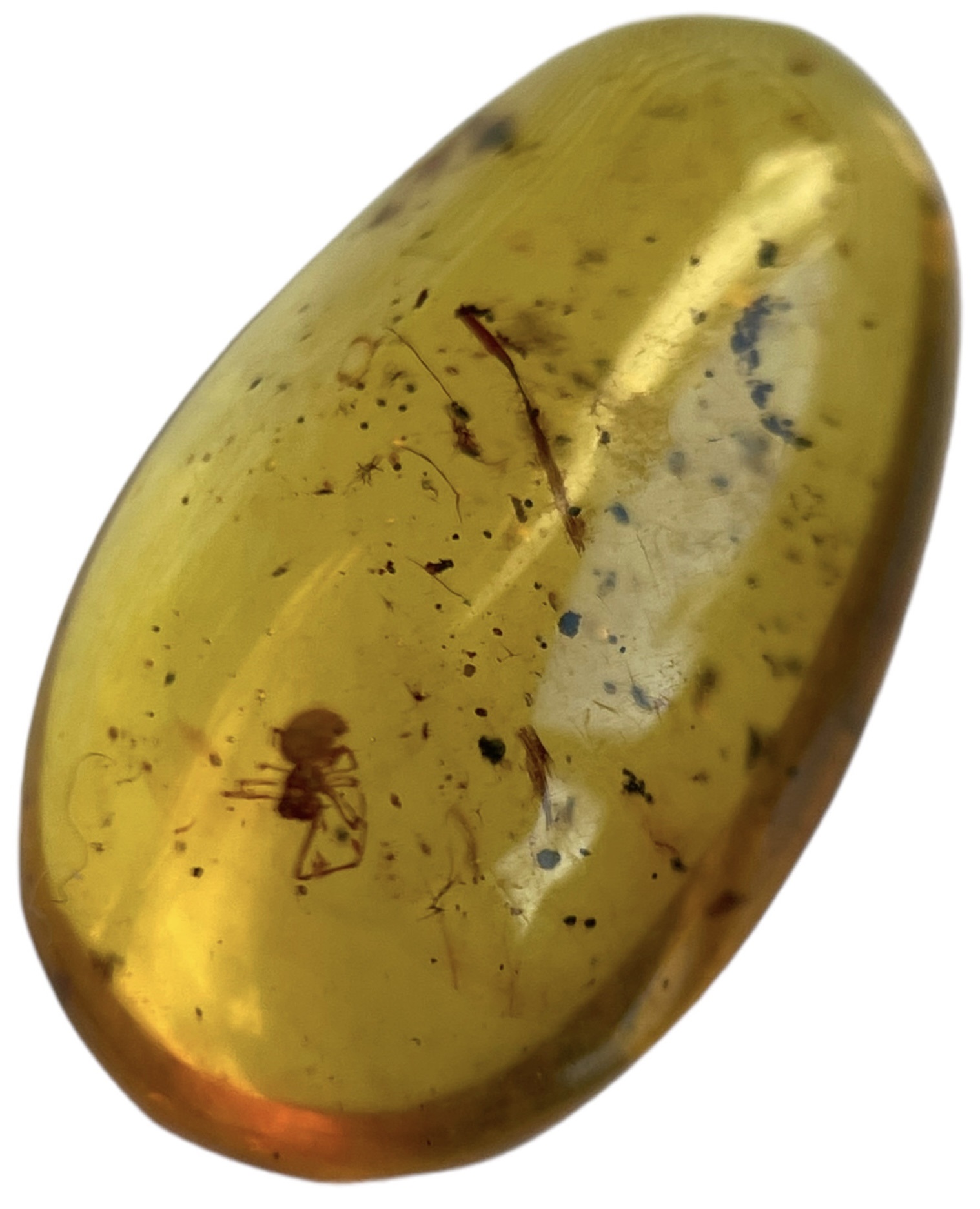 Lot 742 - A SPIDER FOSSIL IN DINOSAUR AGED AMBER